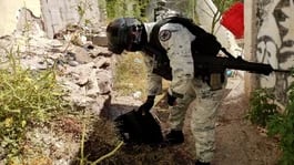 6 000 Lbs Of Marijuana Seized In Underground Warehouse In Sonora