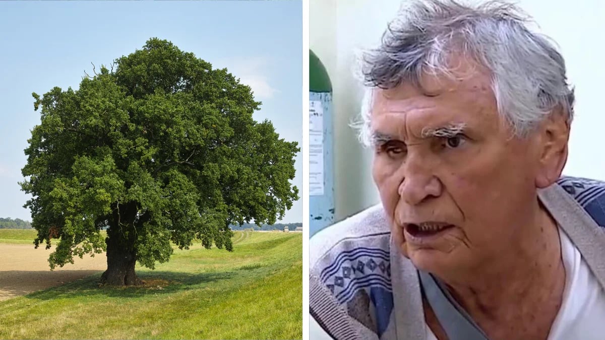 GBJ4ADKH4BBMVN7HCMZPNBWAPA.png – Cartel Insider